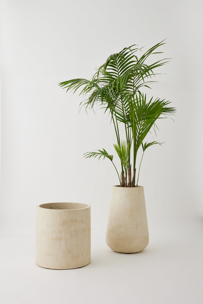 Alba Round Planter – Micro Cement Pot | Bodhi Living